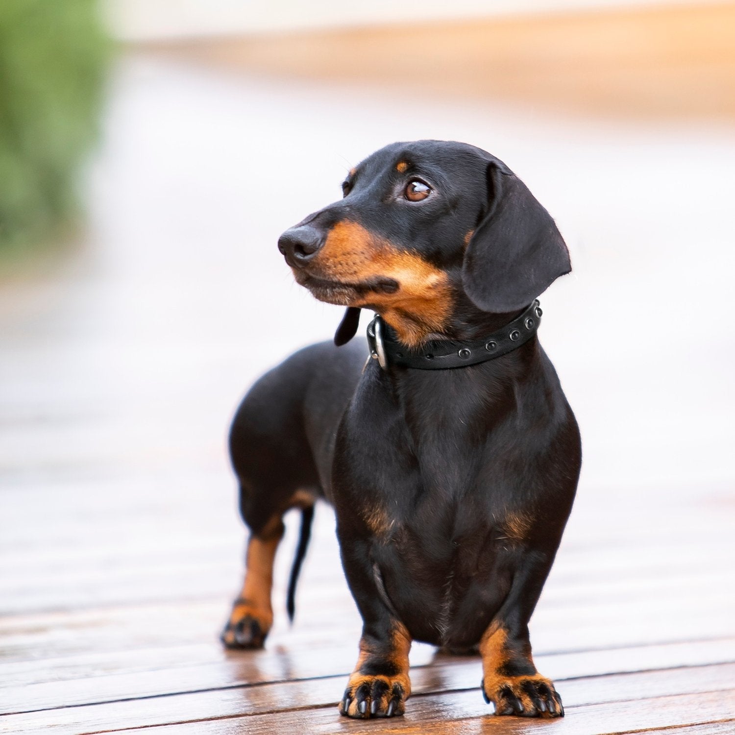 CABO Black set – bwildecollection